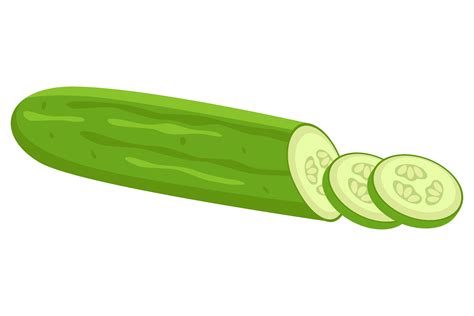 Cartoon Drawing Of Green Cucumber Sliced Graphic By Pch Vector · Creative Fabrica