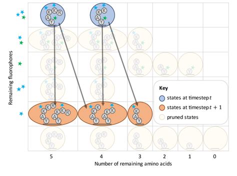Illustration Of The Effects Of Hmm Pruning For The Peptide Of Figure 5