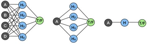 interpretable differentiable decision trees for reinforcement learning