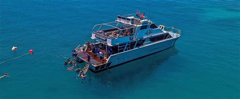 그레이트 배리어 리프 스노클링 및 초보 스쿠버다이빙 Ocean Freedom 줌줌투어 호주 케언즈