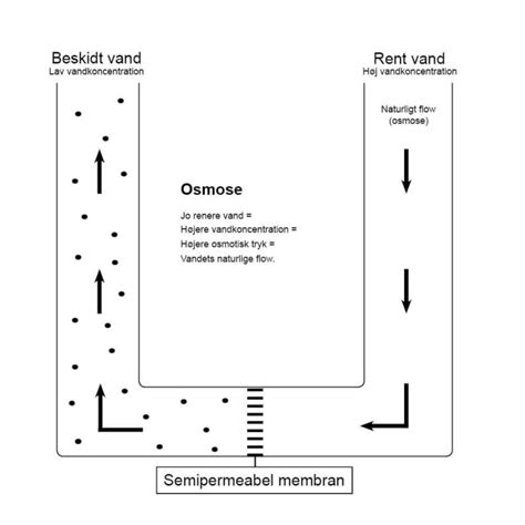 Omvendt Osmose Ro Hvad Er Det