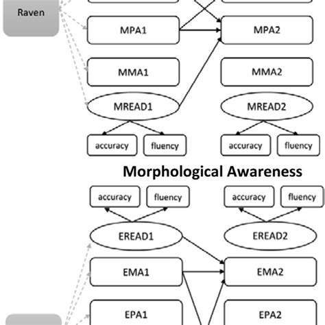 Cross Lagged Panel Modeling Testing Bidirectional Transfer Facilitation Download Scientific