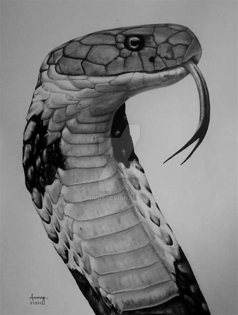 Realistic King Cobra Drawing Queen Cobra 2 By Pilleurdesmers Fur