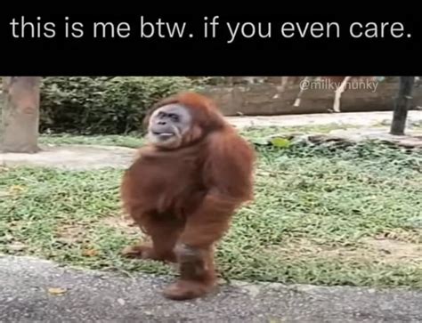 Hank Sex S R 691