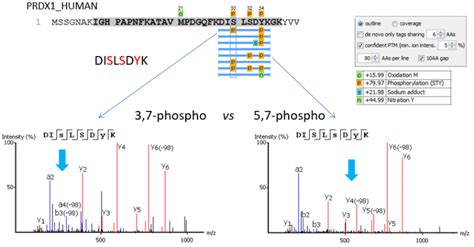 PEAKS PTM PTM Identification PTM Profiling Bioinformatics