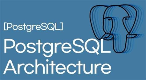 How To Use Agenssql With Oracle Database By Agedb Agedb Feb 2024