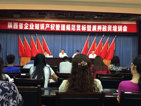 陕西省企业知识产权管理规范贯标暨知识产权质押融资培训会在西安举行 公司新闻 咸阳华光窑炉设备有限公司工业窑炉推板炉辊道炉网带炉回转炉