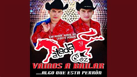 El Pasito Perron Youtube Music