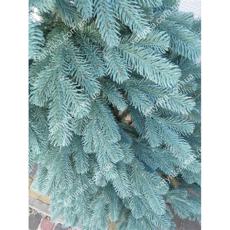 Лита ялинка Елітна 1 80 м блакитна купити в 🎄 Хатинка юа