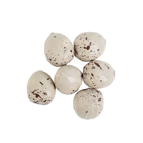 Miniature Speckled Artificial Bird Eggs Birds And Butterflies Basic Craft Supplies Craft