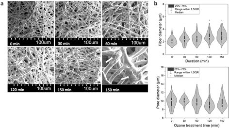 Figure 3 From The Effect Of Ozone Treatment On The Physicochemical Properties And