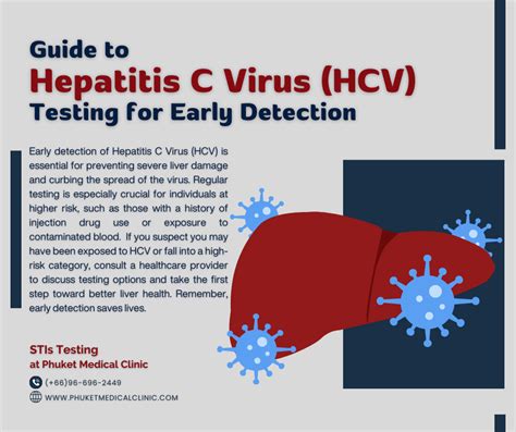 Guide To Hepatitis C Virus Hcv Testing For Early Detection Phuket Medical Clinic