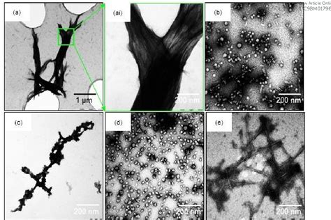 Figure 3 From Covalent Co Assembly Between Resilin Like Polypeptide And