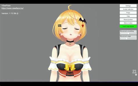 Convert Mmd Model To Vrm Model Or Convert Vrm To Mmd Model By Arielworkflow Fiverr