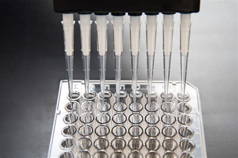 Protein Detection Recombinant Protein Seracare