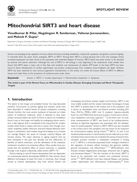 Pdf Mitochondrial Sirt3 And Heart Disease