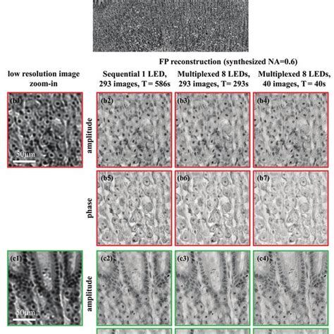 Pdf Multiplexed Coded Illumination For Fourier Ptychography With An Led Array Microscope