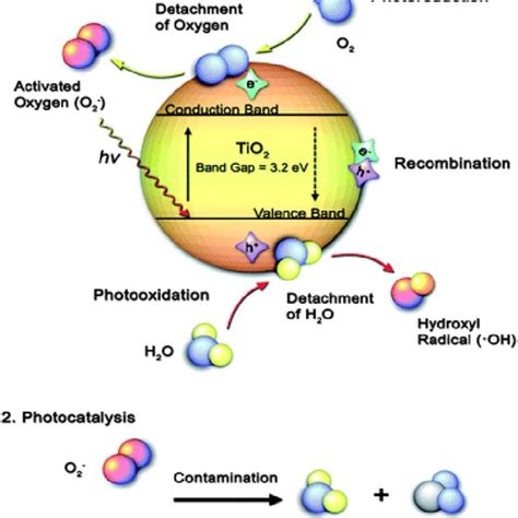 5 Photocatalytic Activity Of Tio2 Nanoparticles Reproduced From Download Scientific Diagram