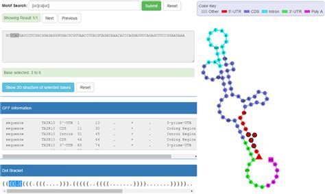 Rna Nucleotide Sequence
