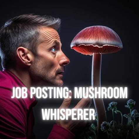 Mushroomerotica