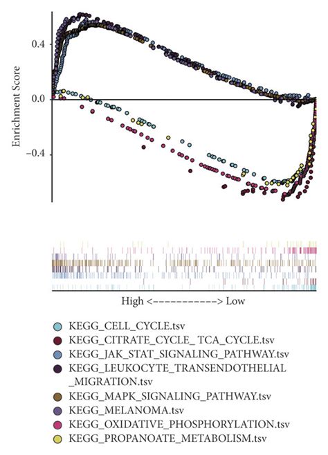 Enrichment Plots From The Gene Set Enrichment Analysis Gsea Download Scientific Diagram