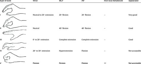 Classification For Hand Position Developed By Keenan Et Al 5