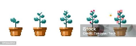 픽셀 아트 플랫 성장 단계 빈티지 90 년대 게임 꽃 성장 과정의 8 비트 아이콘 세트 꽃 냄비 게임 고립 된 패턴의 벡터 픽셀 식물 꽃 식물에 대한 스톡 벡터 아트 및