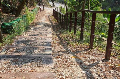 台南白河 六溪香路古道 健行筆記