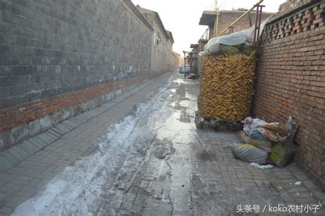 太美了，農村不一樣的雪景，不是土生土長的農村人，都沒見過 每日頭條