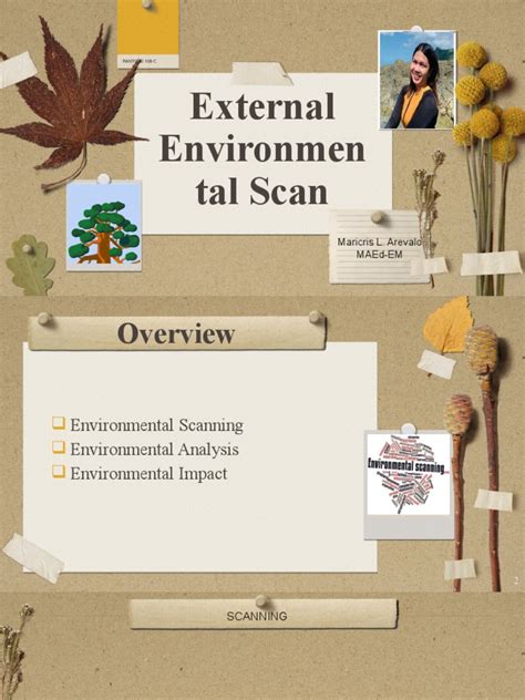 External Environmental Scan Pdf Swot Analysis Cognition