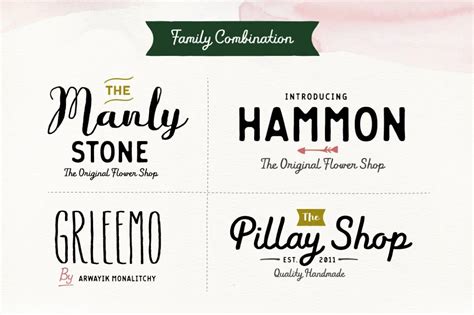 Flowy Script Font Upfonts
