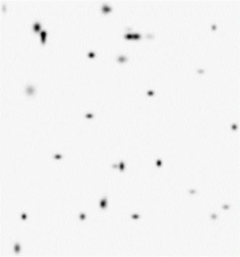 Gel Protein Partitioning Method Based On Fuzzy Clustering Eureka
