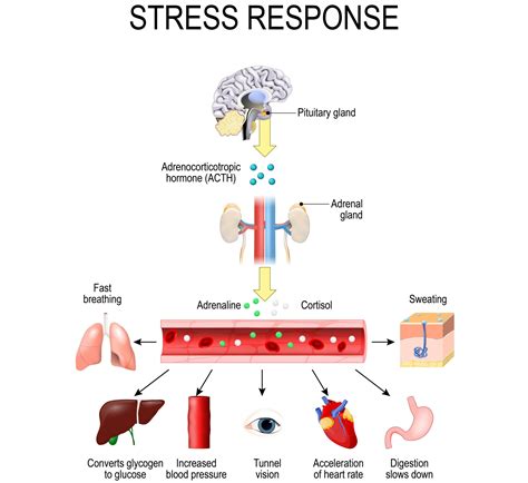 Hyperosmolar Hyperglycemic Syndrome Acls Resources Acls Certification Association