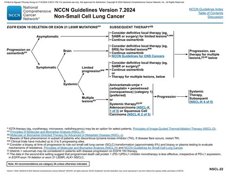 Nccn Clinical Practice Guideline In Oncology Pdf Lung And