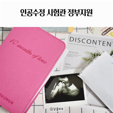 인공수정 시험관 정부지원 난임지원 신청 및 비용 네이버 블로그