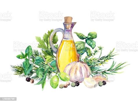 로즈마리 바질 오레가노 파슬리 백리향 올리브 오일 마늘 허브와 향신료와 구성 프랑스 요리 에 대한 신선한 향기로운 식물 수채화 컬렉션 녹색에 대한 스톡 벡터 아트 및 기타