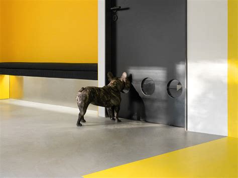 مراحل طراحی دکوراسیون پت شاپ مهندسین مشاور دکتر سرور و همکاران