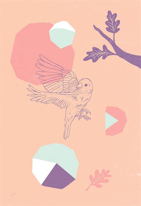 Flight Patterns Bird Illustration
