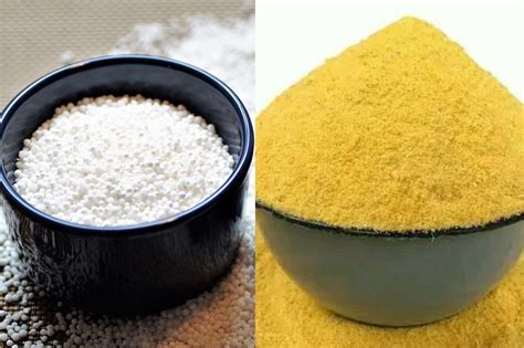 Easy Steps On How To Process Garri From Cassava Zikloaded