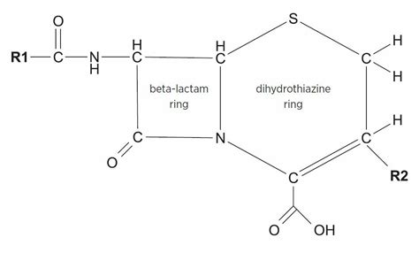 Cephalosporin Side Chain Chart Ponasa