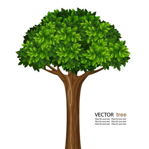 Tree Vector Images Over 14 Million