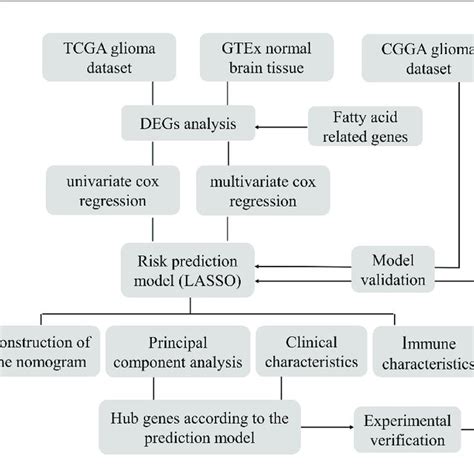 Gsva Analysis Of Elevated Low Score Groups Diagram A Gsva Download Scientific Diagram
