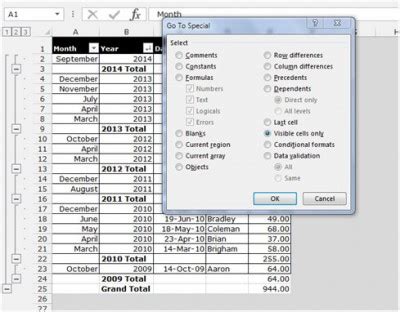Copying The Subtotals Summary In Microsoft Excel 2010