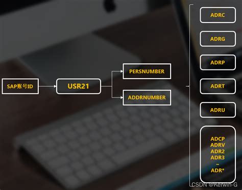 Sap 常见取数逻辑 001 用户信息sap Select Usr21 Csdn博客