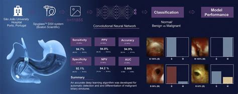 Artificial Intelligence For Automatic Diagnosis Digestaid