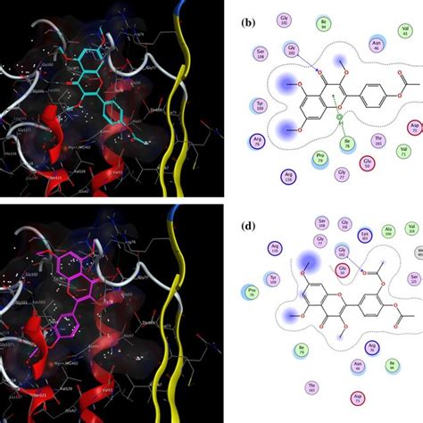 A 3d Binding Mode Of 113 Green Sticks B 2d Binding Mode Of 113 C 3d