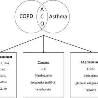 Proposed Biomarkers For Differentiating ACO From Asthma And COPD Download Scientific Diagram