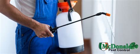 Winter Pest Control Schedule Services Before The Holiday Season