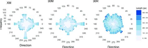 Histograms Of Direction In Polar Coordinates And Length Of The Paths