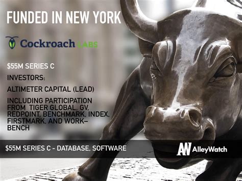 Cockroach Labs Raises Another 55m Alleywatch